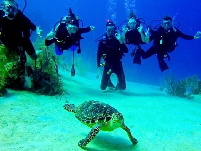 Dive in Turkey Scuba Diving with Divers Delight in Turkey
